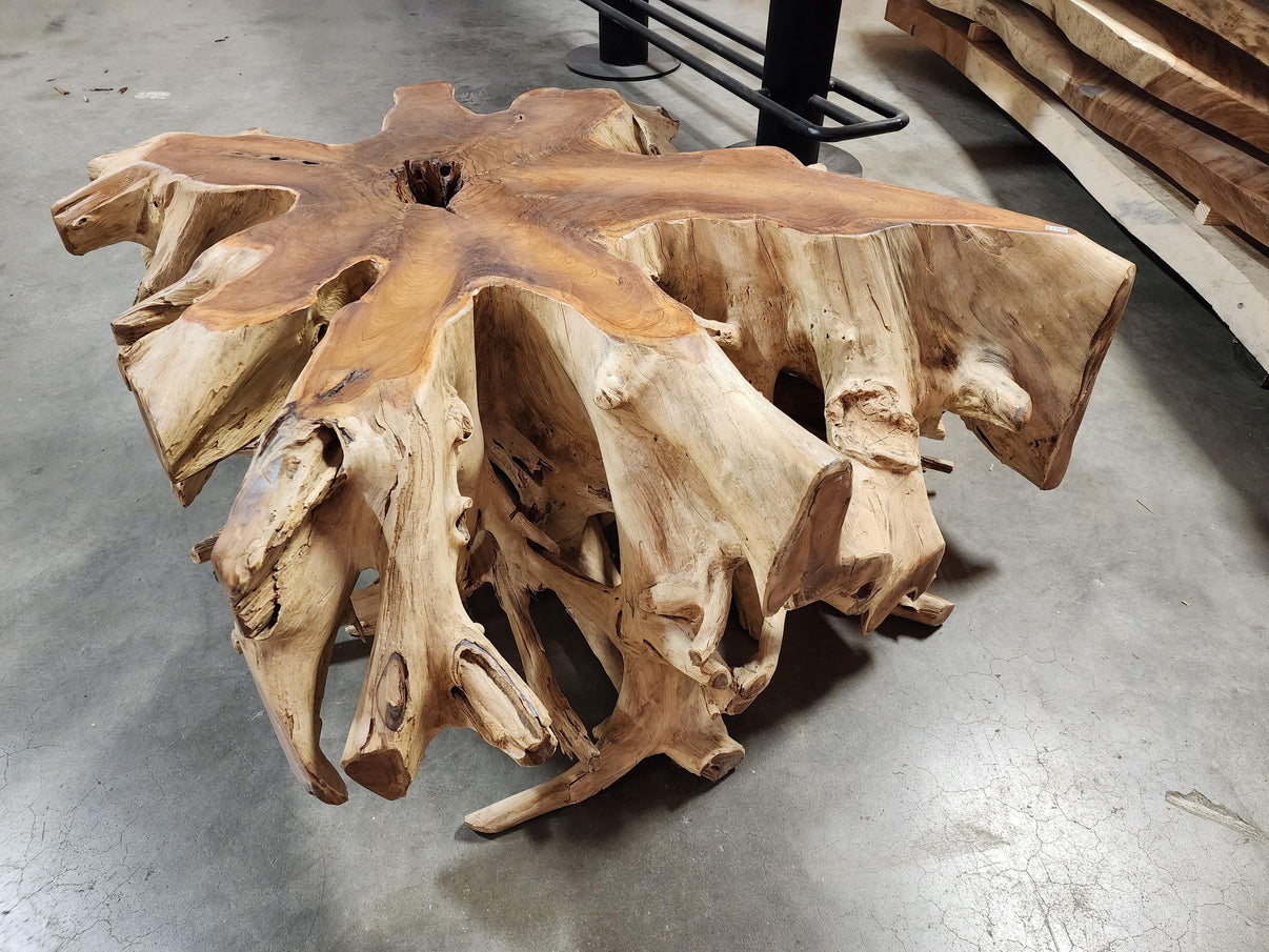 Teak Root Coffee Table – Impact Imports