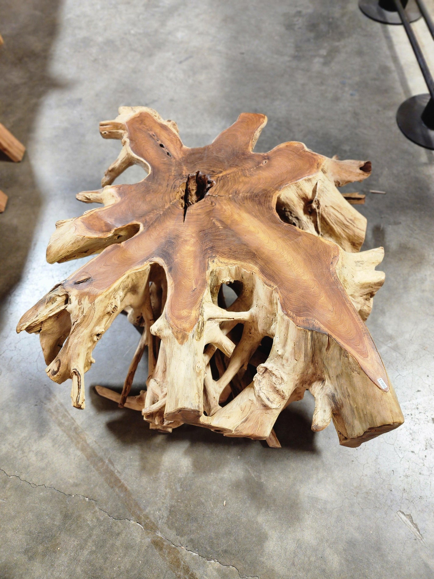 Teak Root Coffee Table – Impact Imports